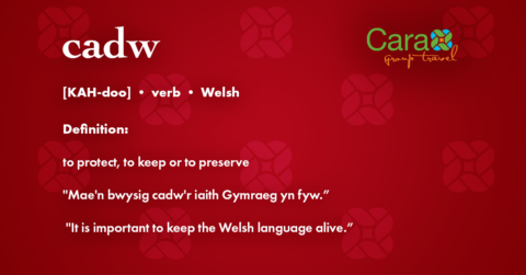 Word of The Week: Cadw | Cara Group Travels | Cara Group Travel