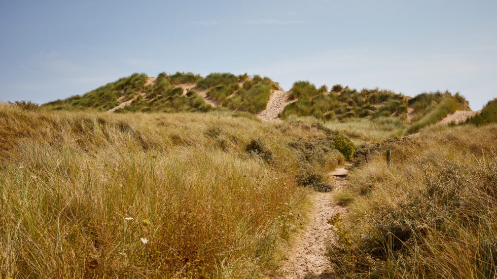 Get set for a visit to Ireland’s cinematic landscapes | Cara Group Travel